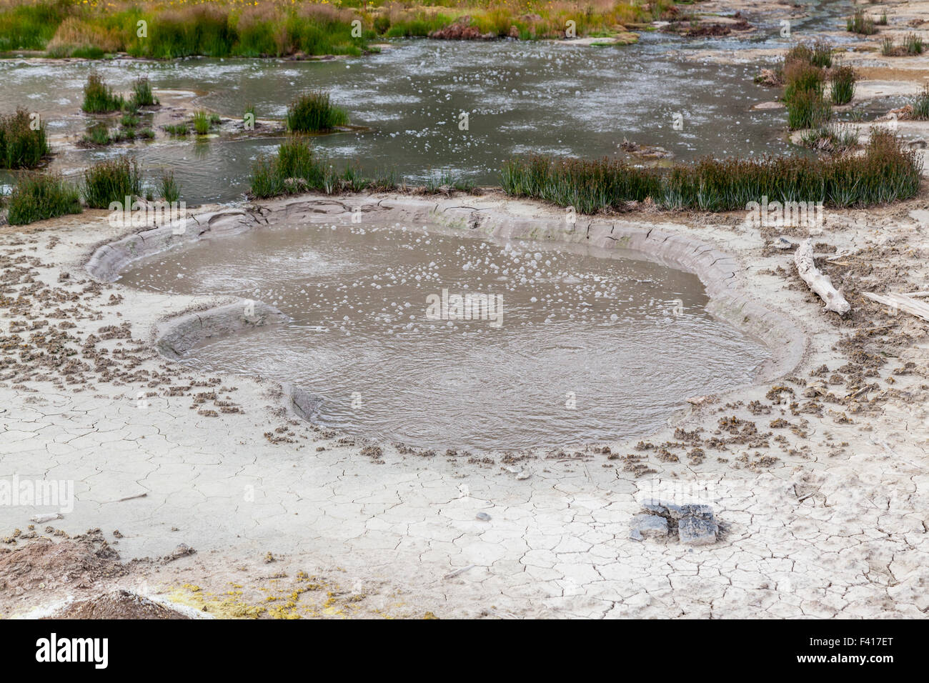 A pool of hot muddy water with gas bubbles on the surface next to a hot ...