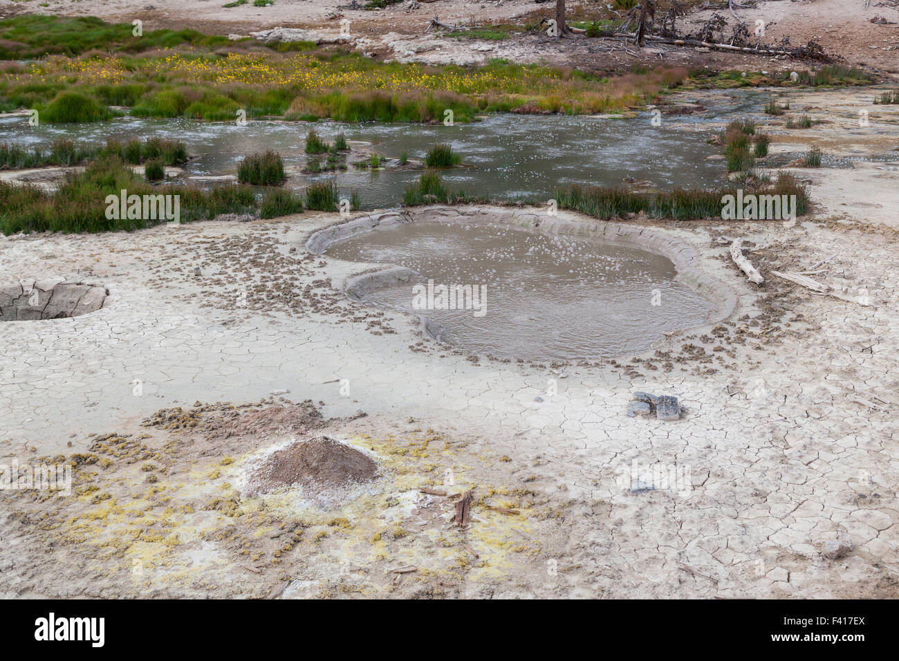 A pool of hot muddy water with gas bubbles on the surface next to a hot ...