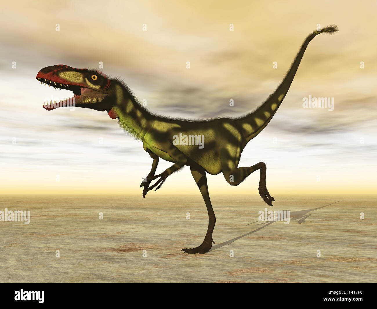 Dilong hi-res stock photography and images - Alamy