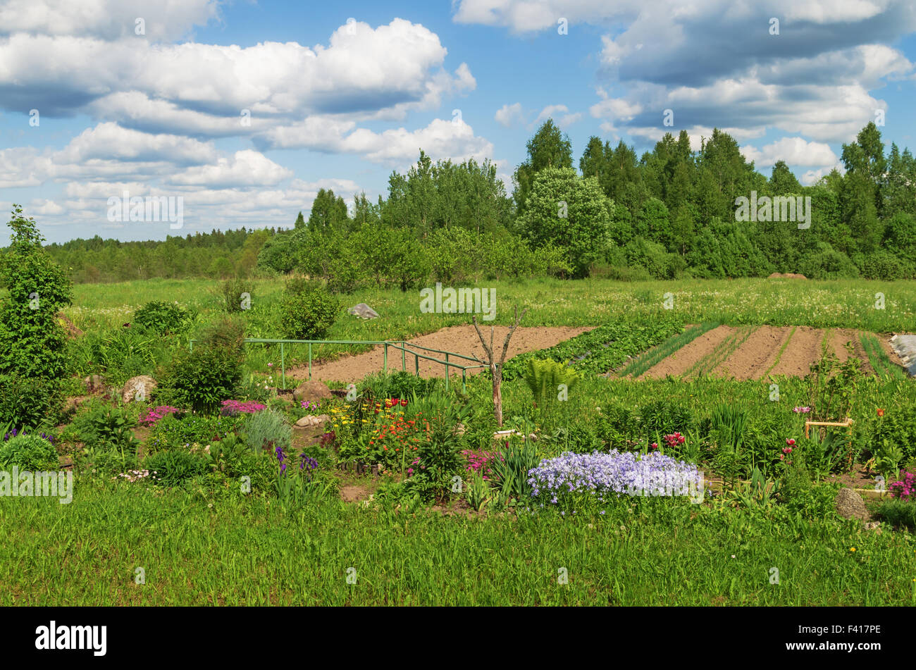 Village landscape - garden with flowers Stock Photo - Alamy