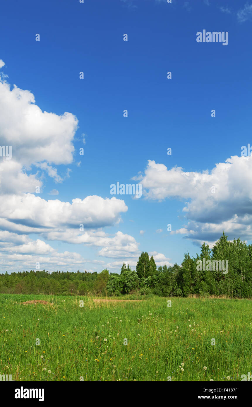Green meadow landscape Stock Photo - Alamy