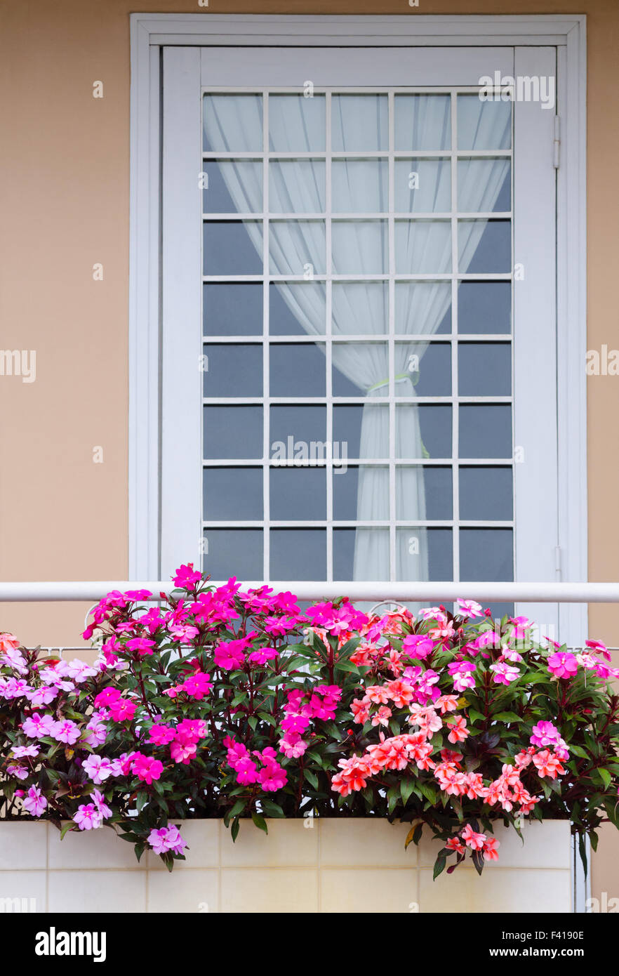 Purple flowers on balcony hi-res stock photography and images - Alamy