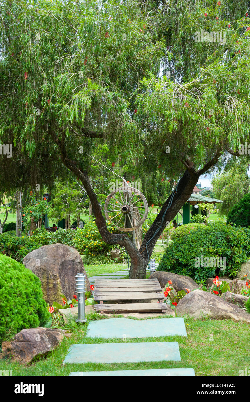 branchy tree with wagon wheel Stock Photo - Alamy