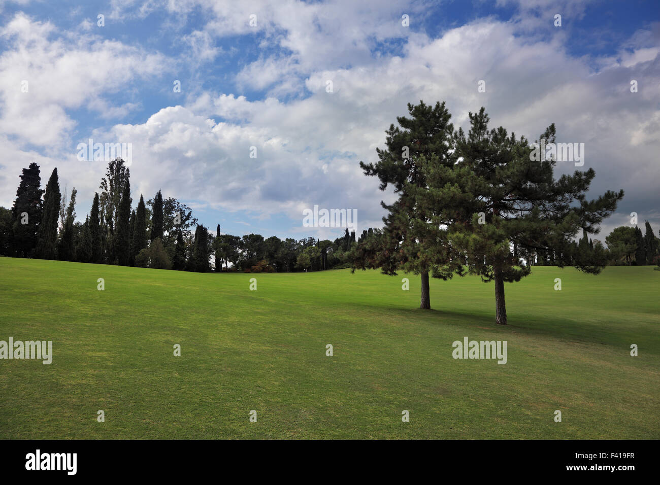 Lovely green grassy slope Stock Photo - Alamy