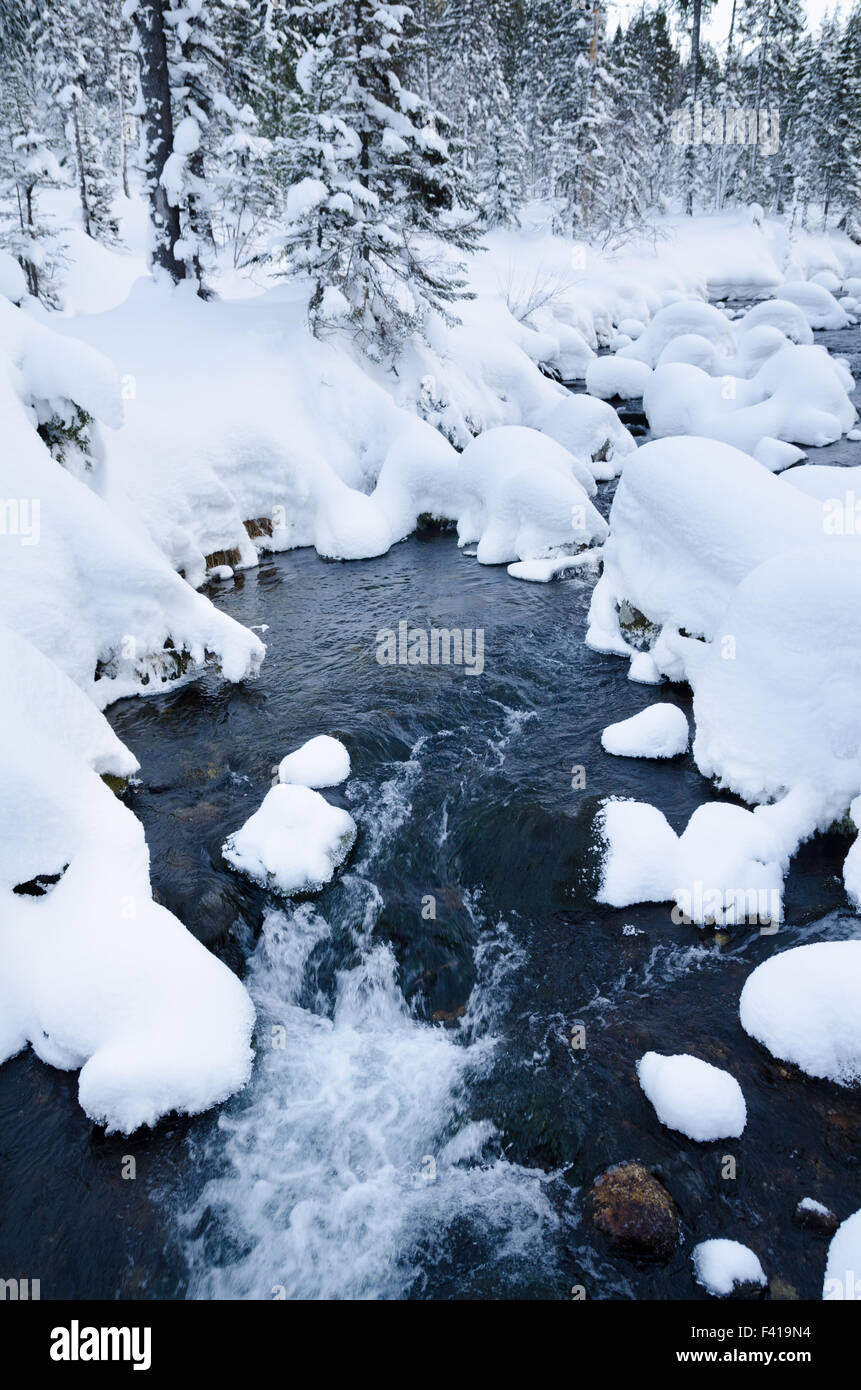 nonfreezing stream in winter forest Stock Photo - Alamy