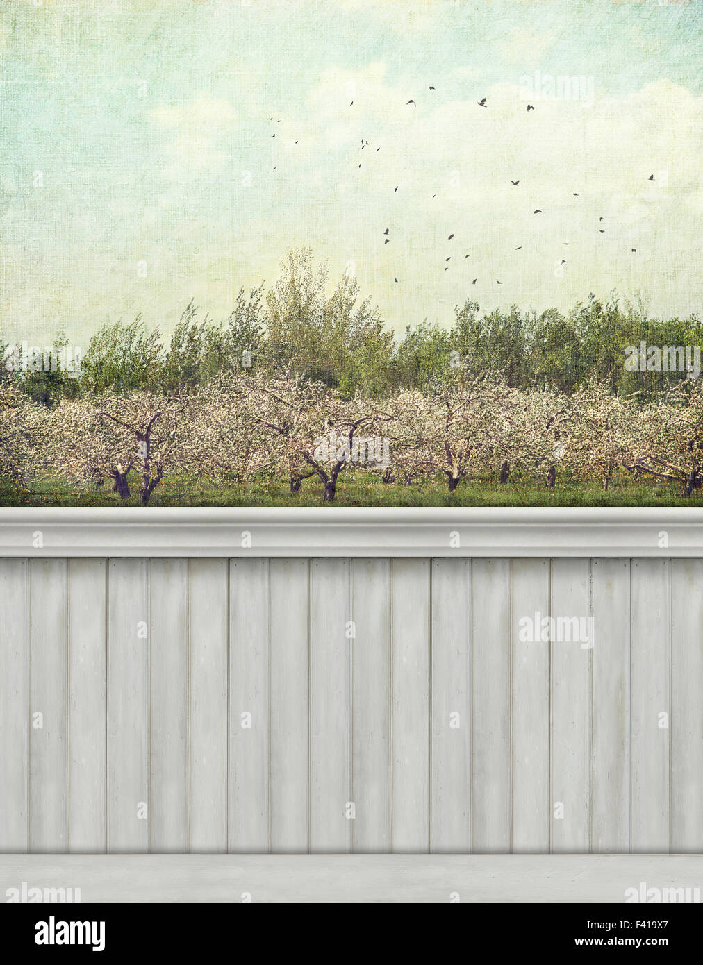 Spring wall background/backdrop Stock Photo - Alamy