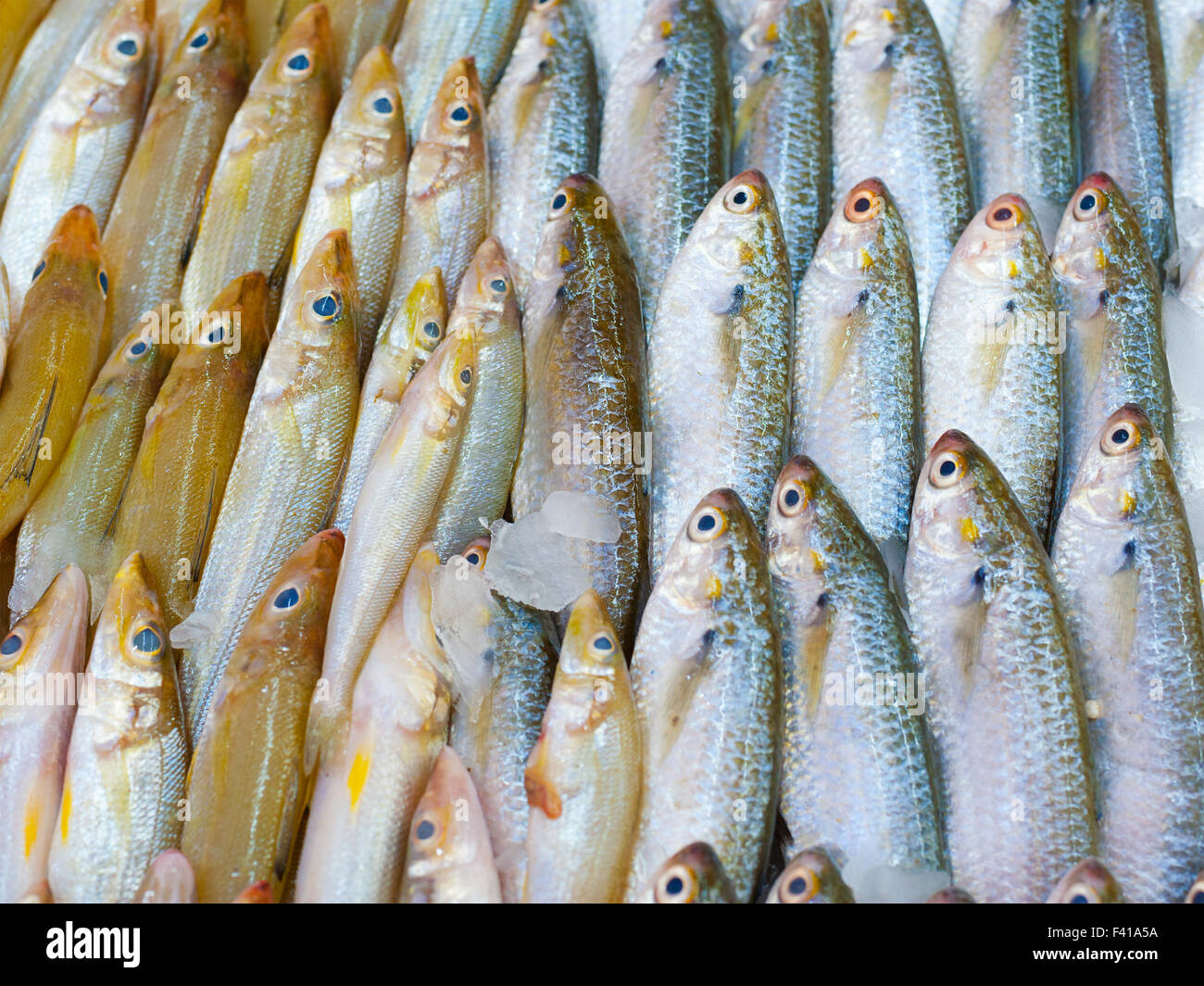 Top sale lot hi-res stock photography and images - Alamy