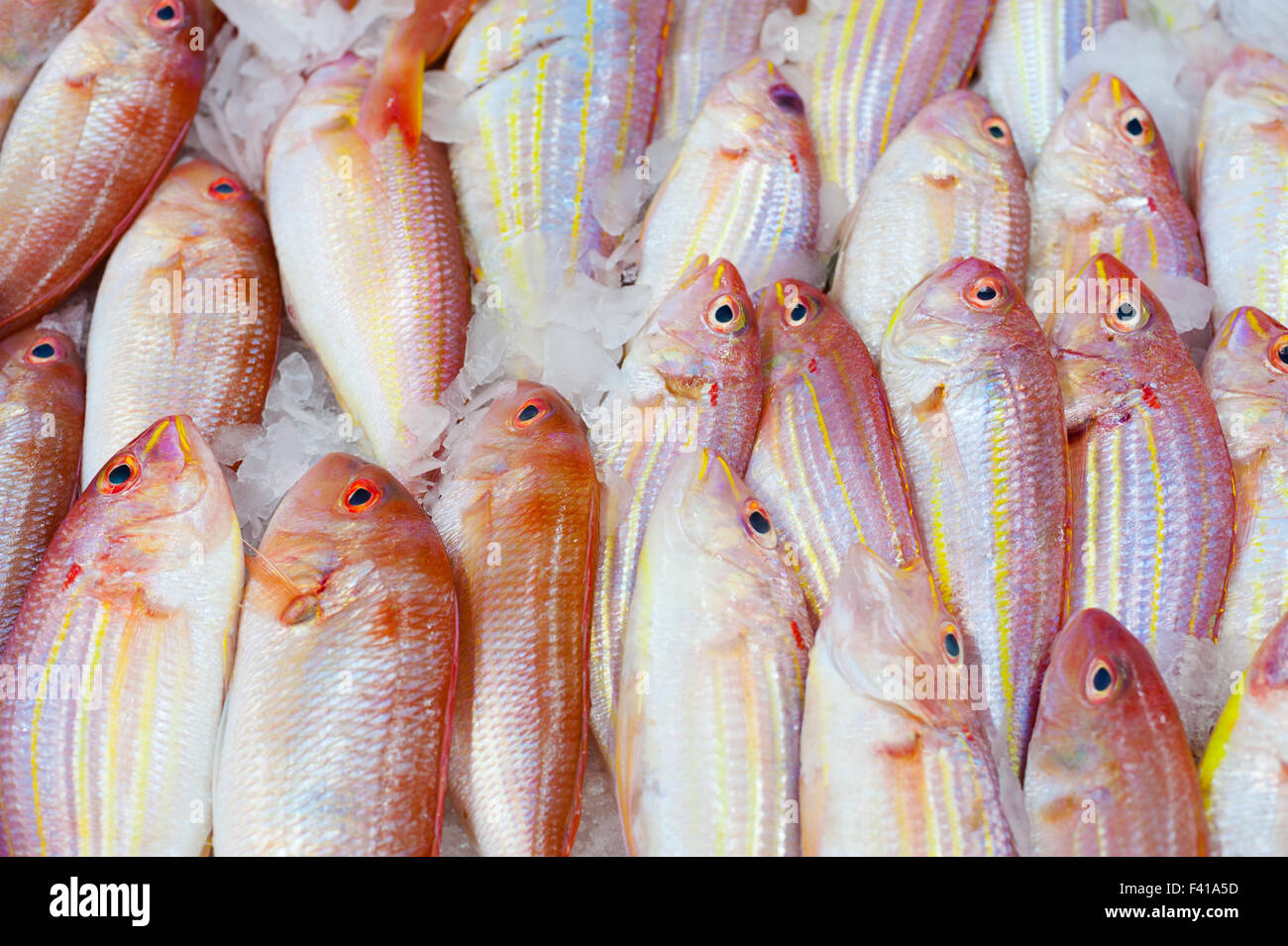 fresh uncooked fish for sale Stock Photo - Alamy