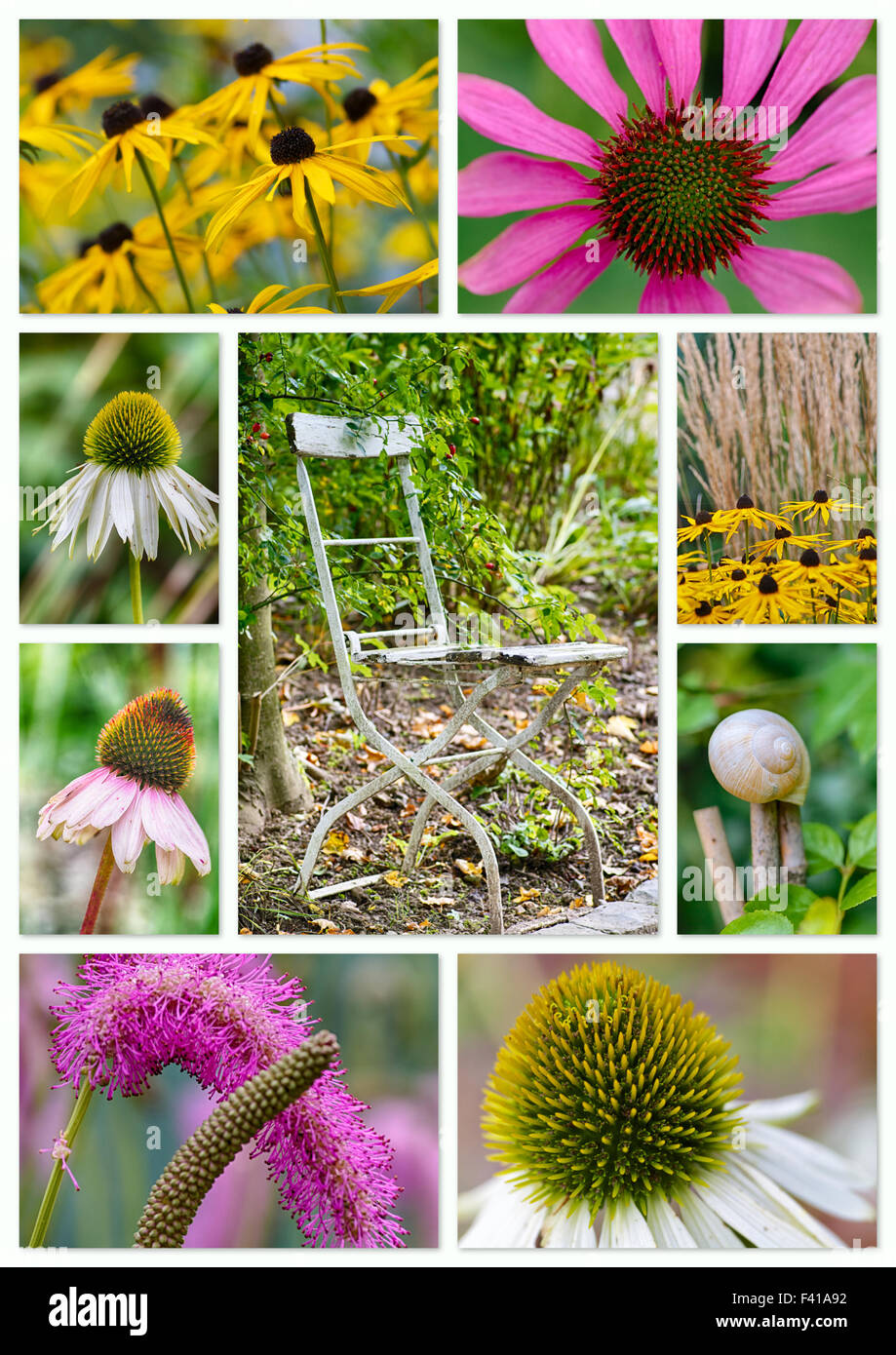 Flora and fauna collage hi-res stock photography and images - Alamy