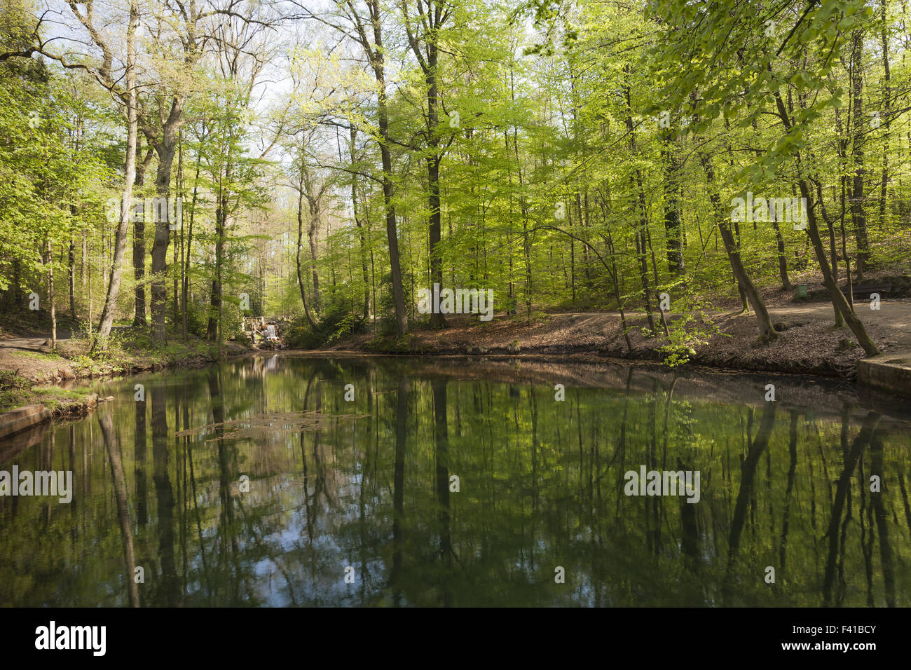 Pond in park germany hi-res stock photography and images - Alamy