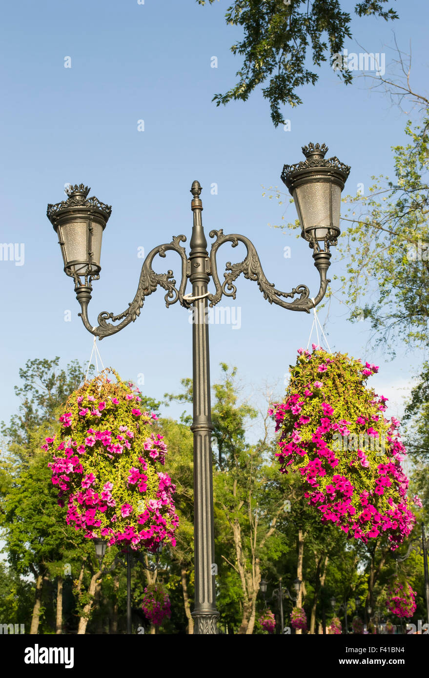 Elegant street lighting pole with two arms and blossomed hanging flower ...