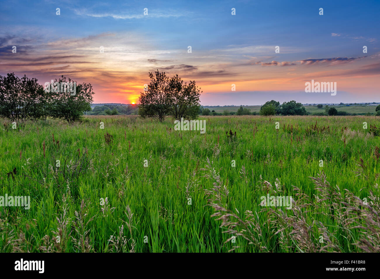 Grassland sunset hi-res stock photography and images - Alamy