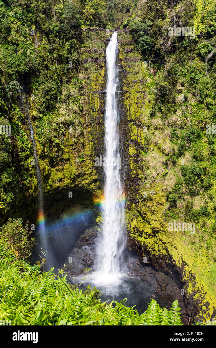 Kolekole Stream, ʻAkaka Falls, ʻAkaka Falls State Park, 422 feet (129 m ...