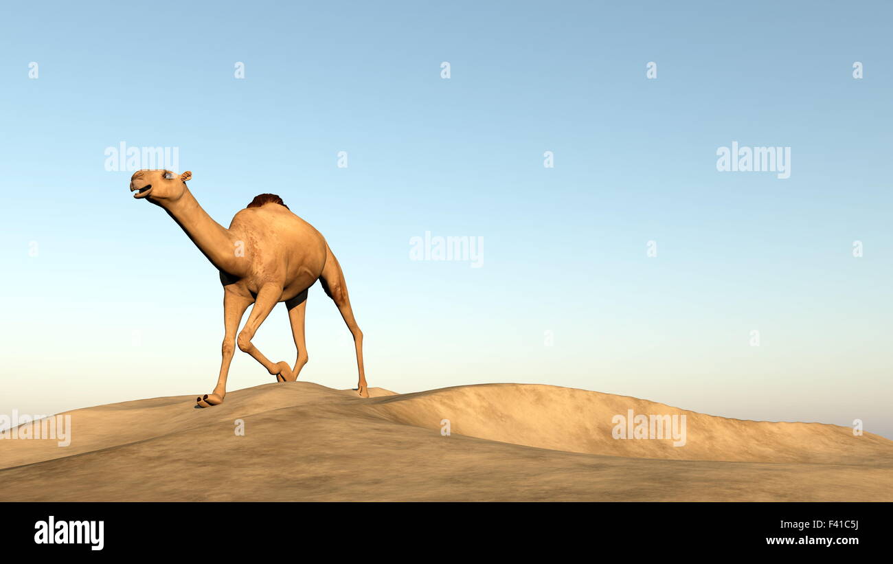 Camel running - 3D render Stock Photo - Alamy