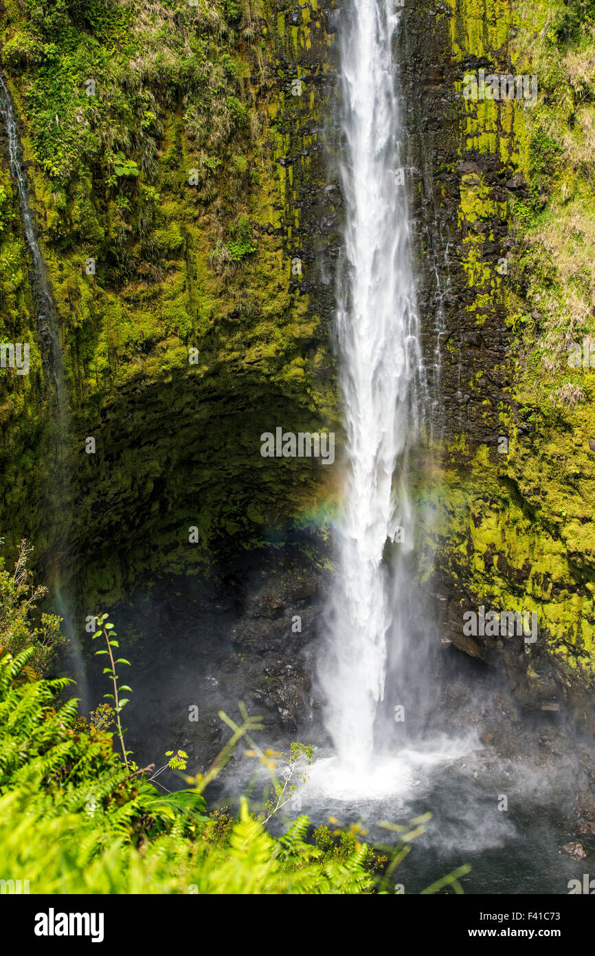 Kolekole Stream, ʻAkaka Falls, ʻAkaka Falls State Park, 422 feet (129 m ...