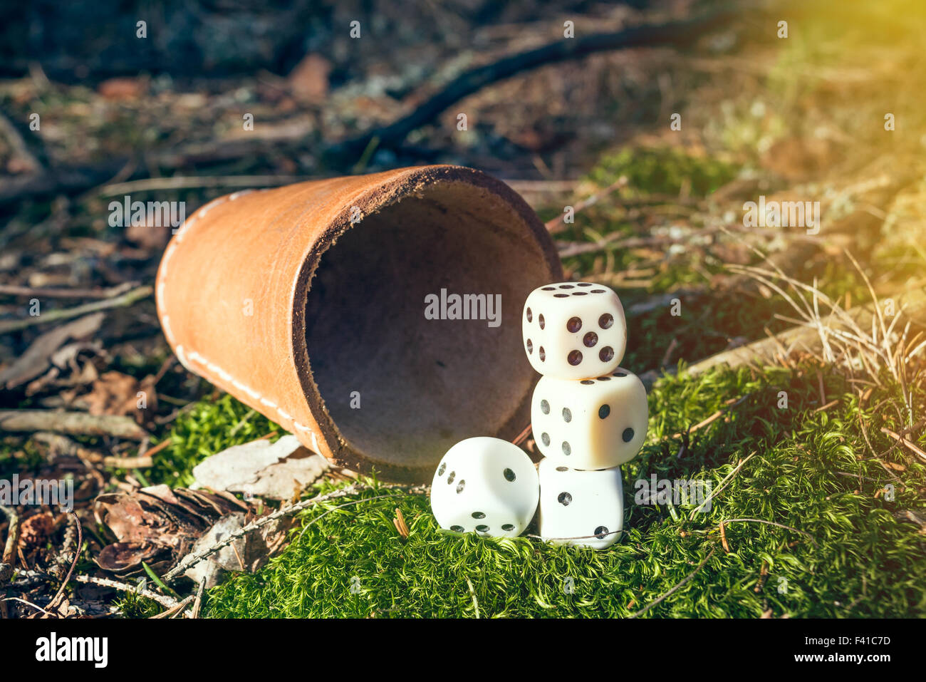 Shaker forest hi-res stock photography and images - Alamy