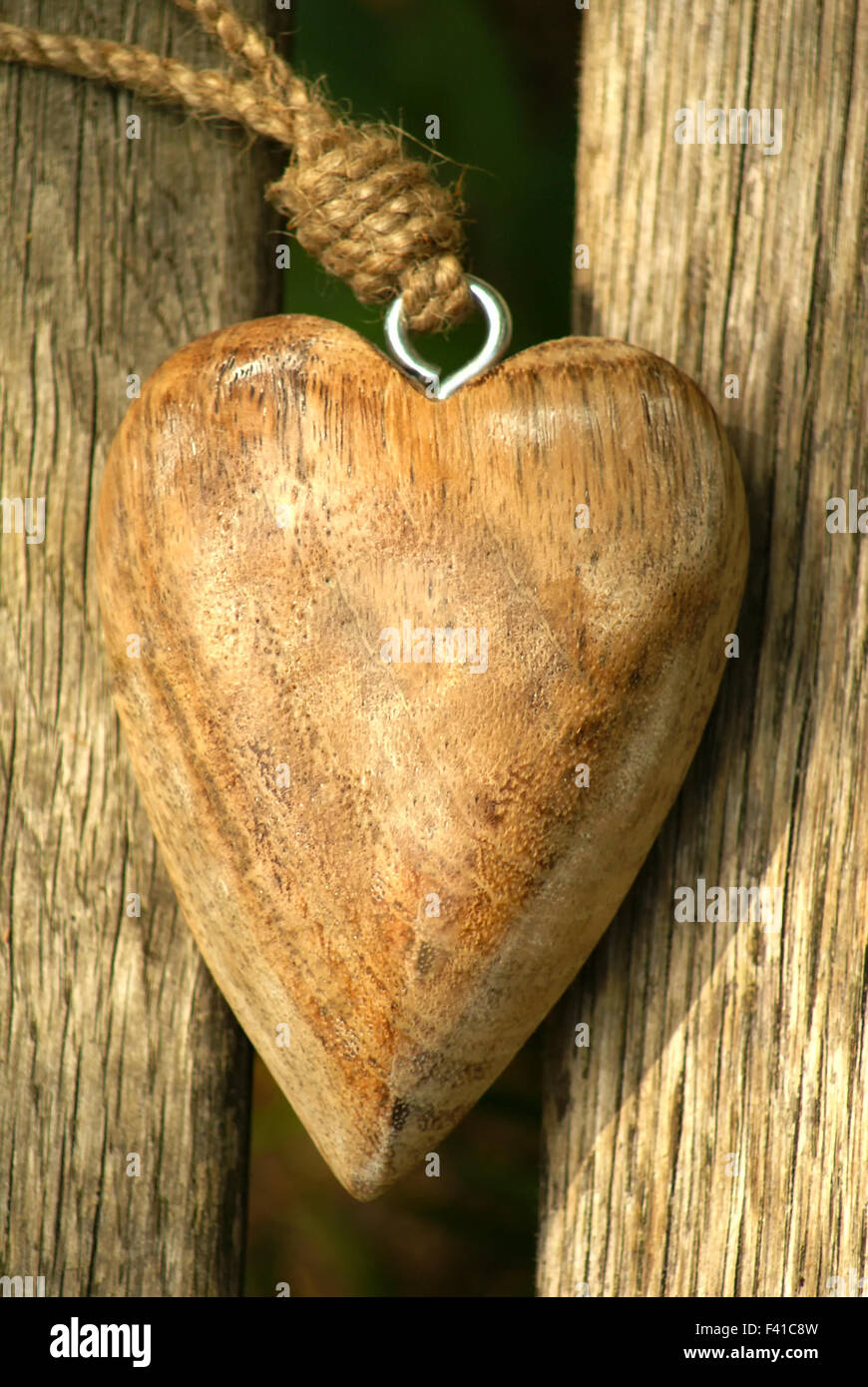 Heart of Wood Stock Photo - Alamy