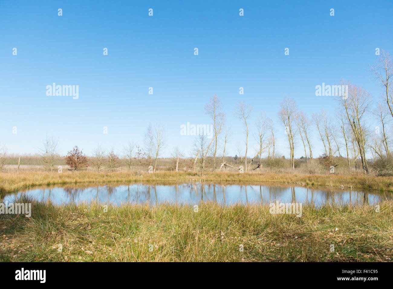 Landscape little ven in Dutch province Drenthe Stock Photo - Alamy