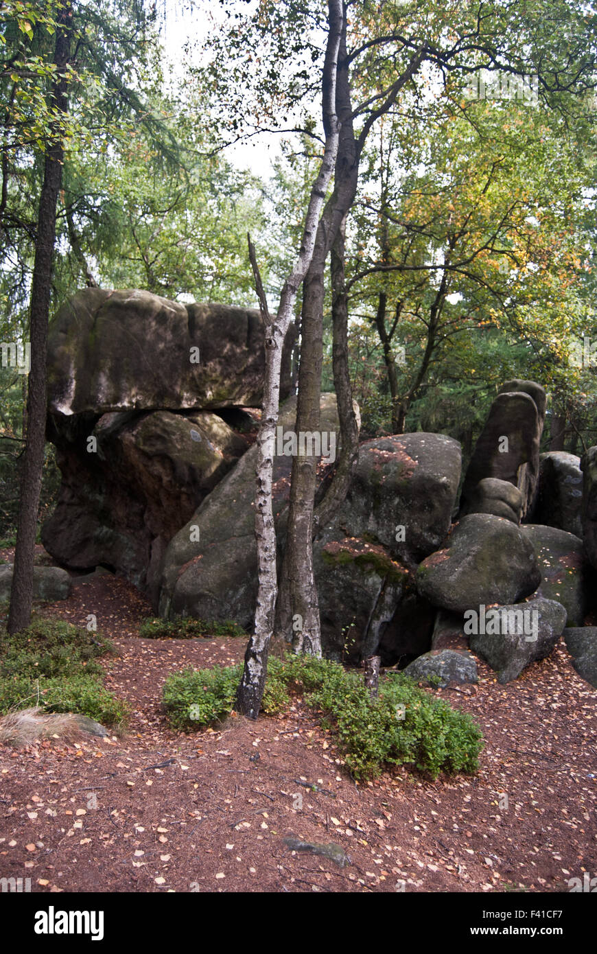 Rock with tree hi-res stock photography and images - Alamy