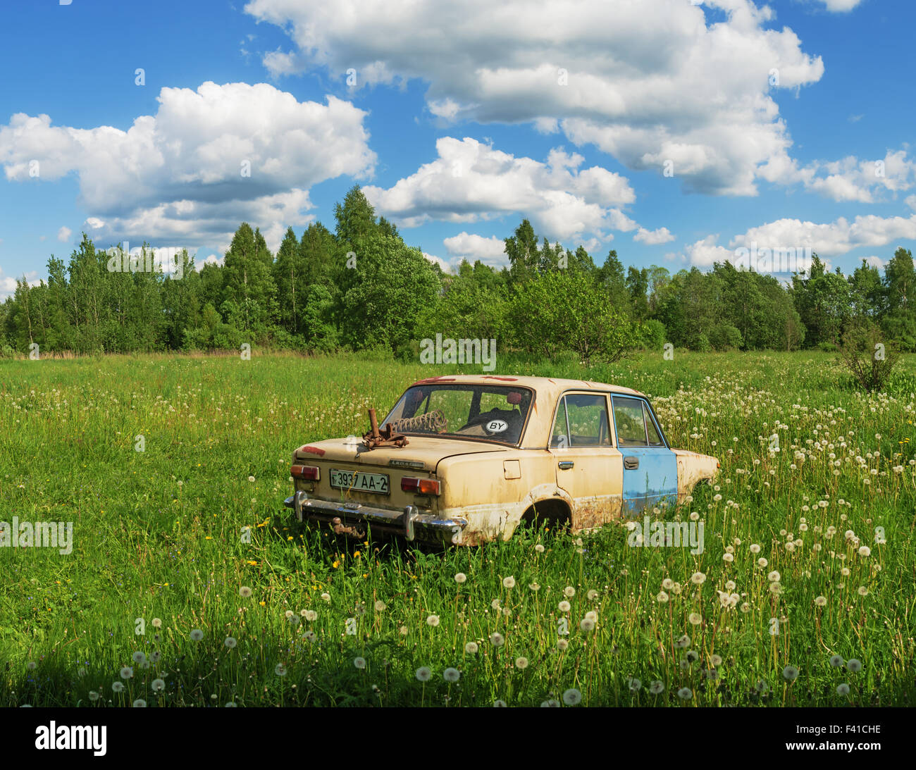 Old decrepit tree branch hi-res stock photography and images - Alamy