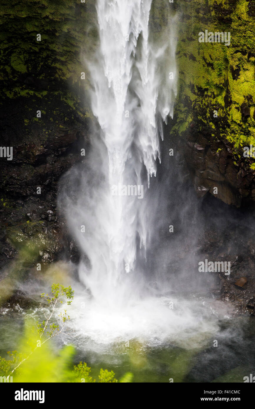 Kolekole Stream, ʻAkaka Falls, ʻAkaka Falls State Park, 422 feet (129 m ...