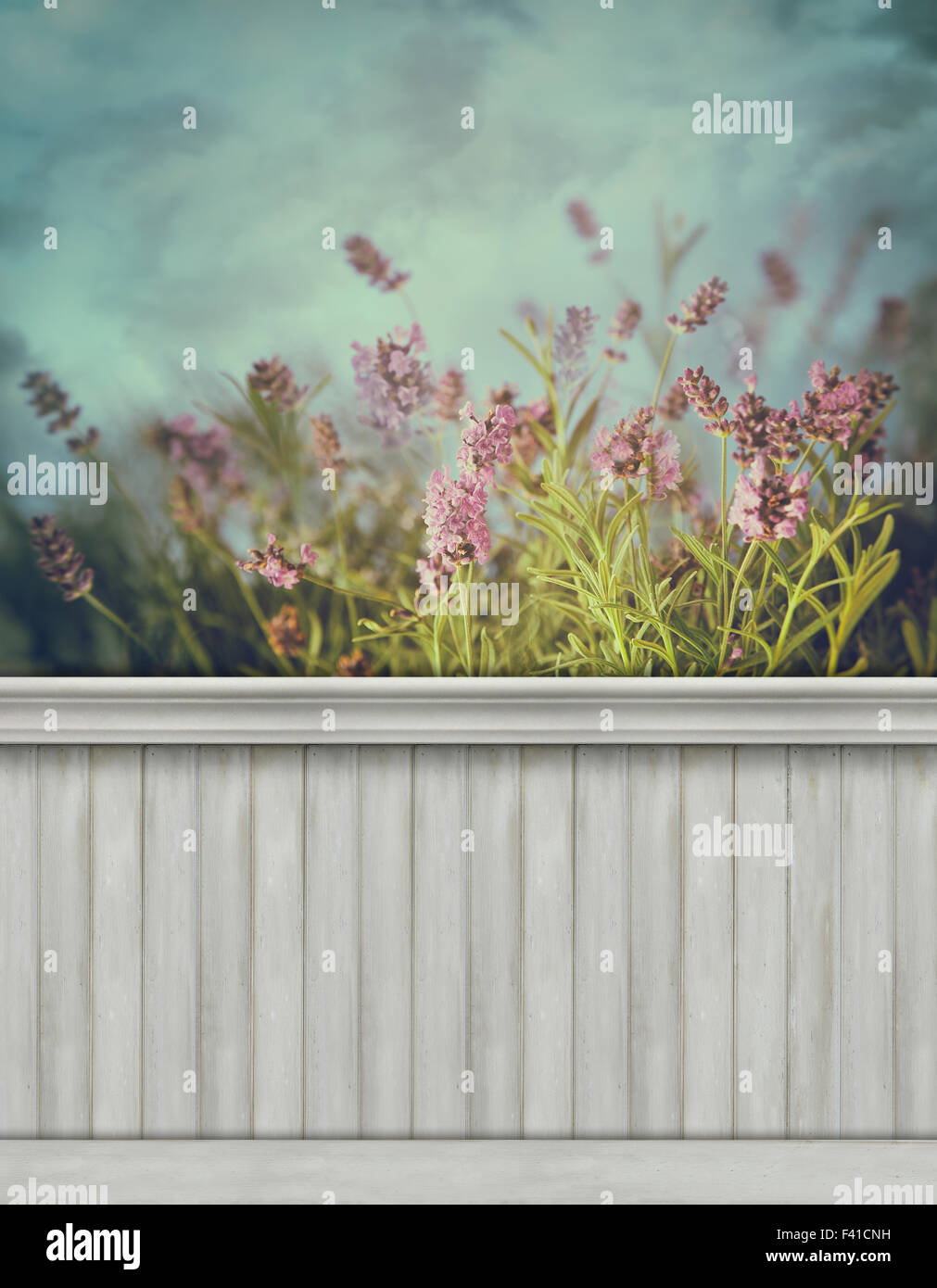 Spring wall background/backdrop Stock Photo - Alamy