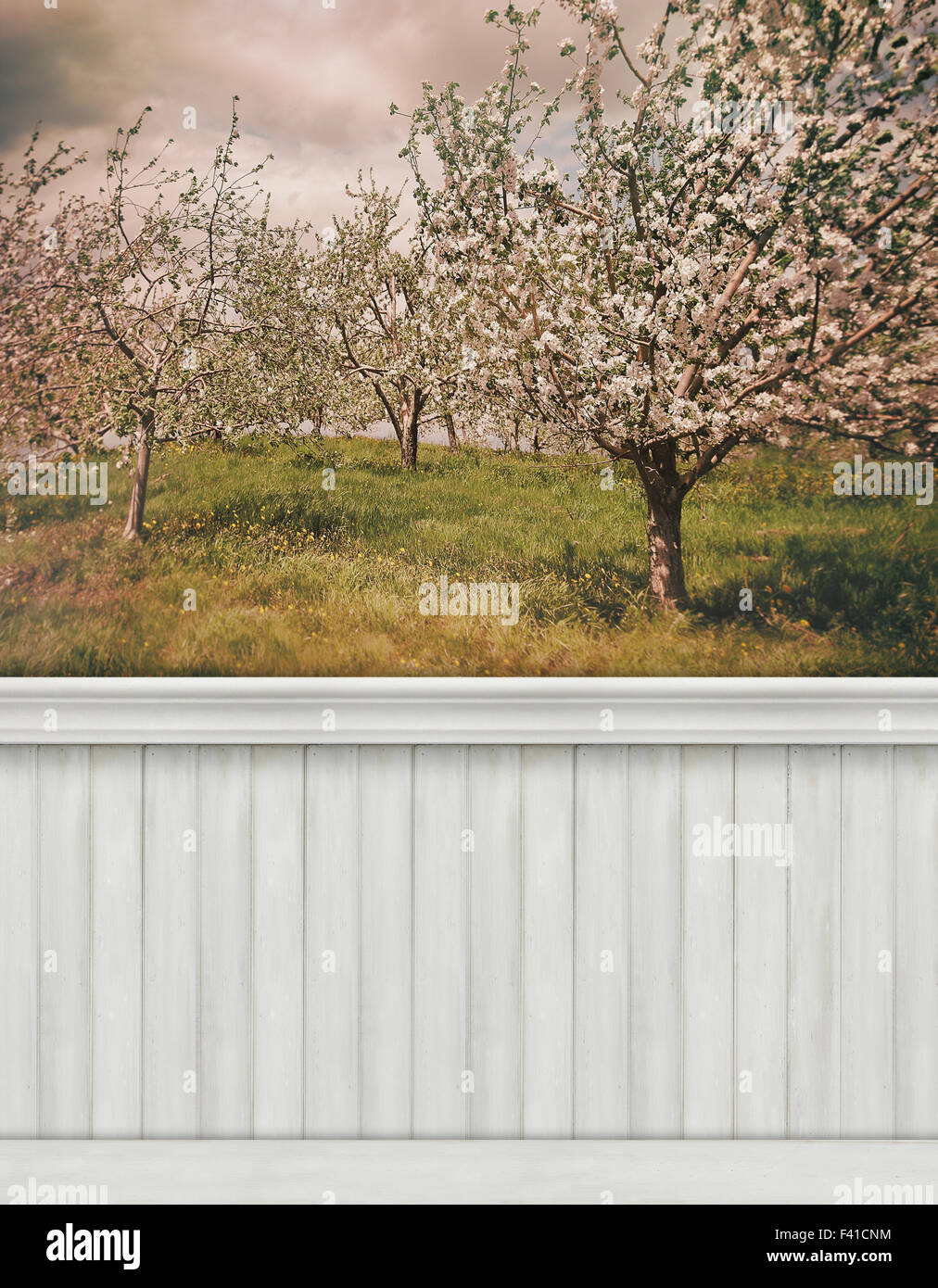 Spring wall background/backdrop Stock Photo - Alamy