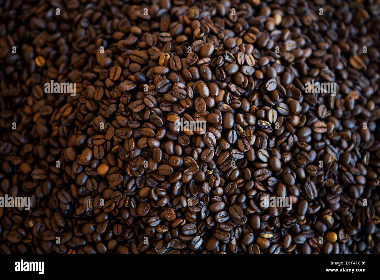closeup of lots of coffee beans Stock Photo - Alamy