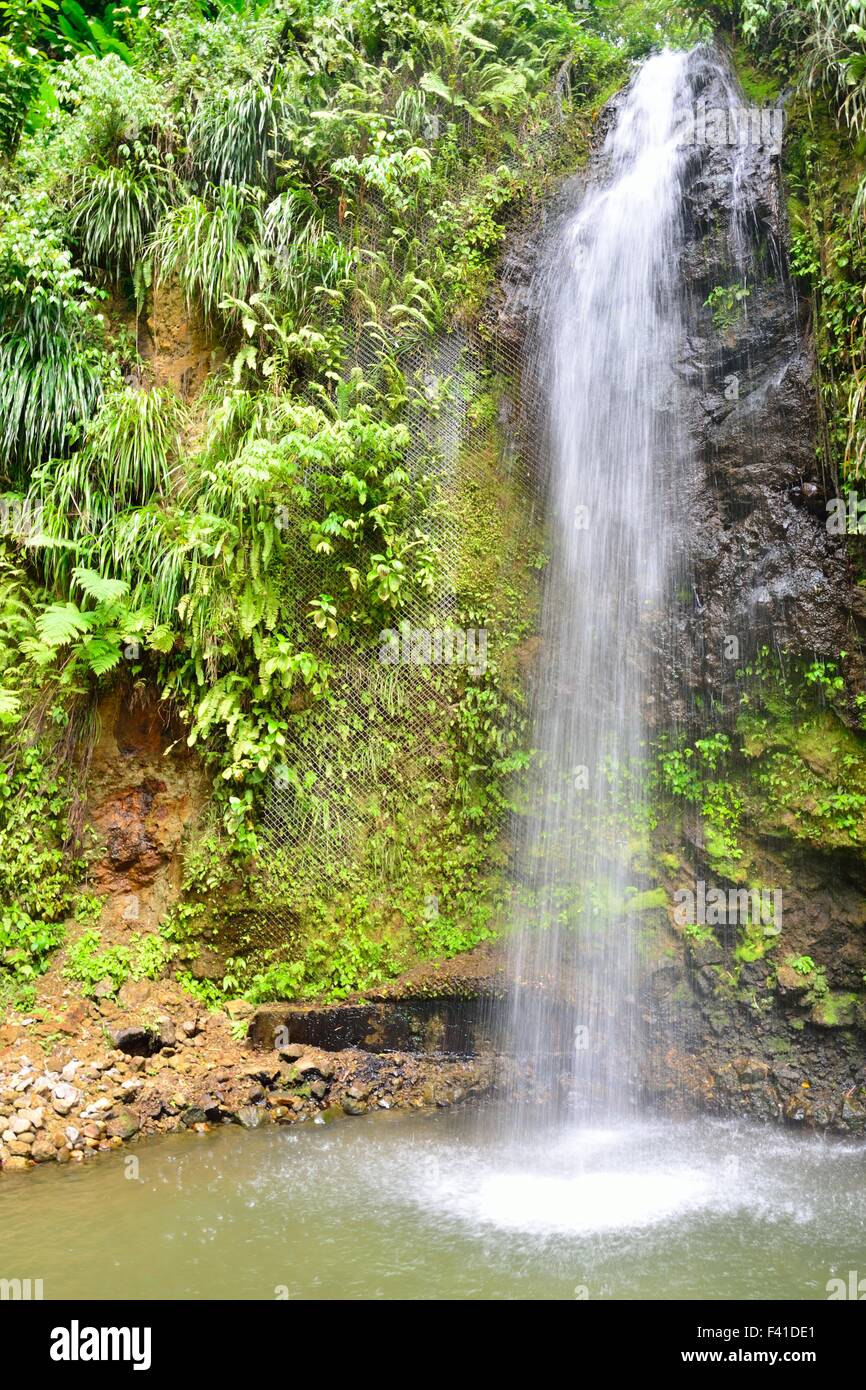 Tropical waterfall in portrait Stock Photo - Alamy