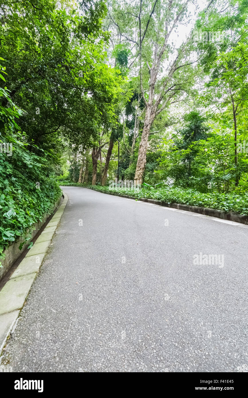 Country road forest in hi-res stock photography and images - Alamy