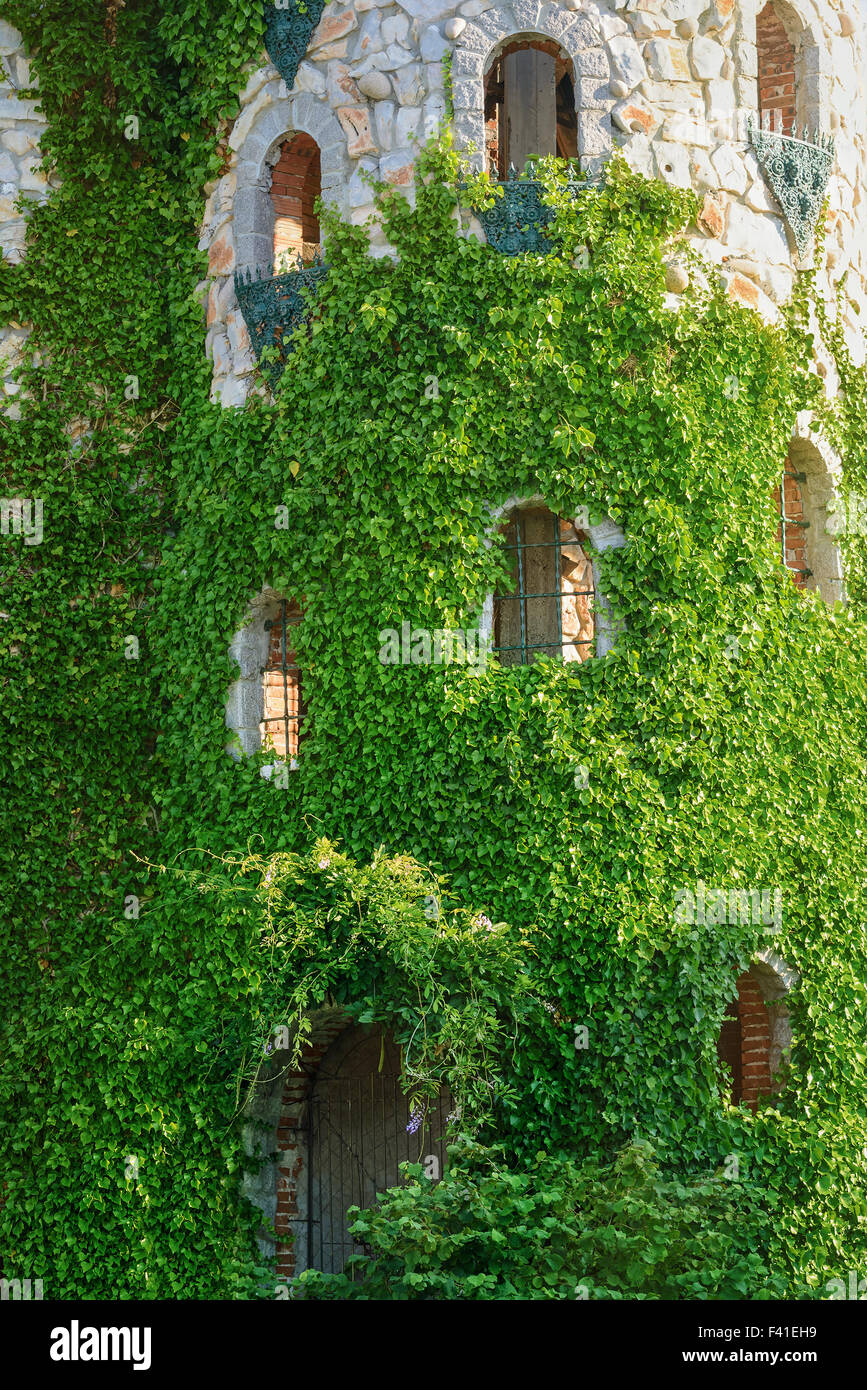 Vine castle window hi-res stock photography and images - Alamy