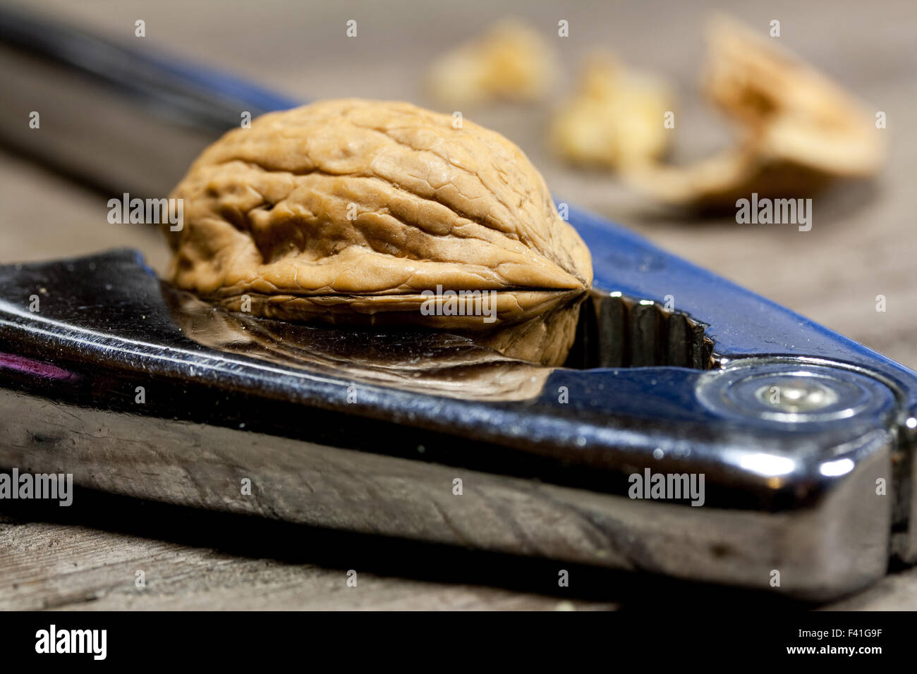 Nut not still not food not fruits hi-res stock photography and images ...