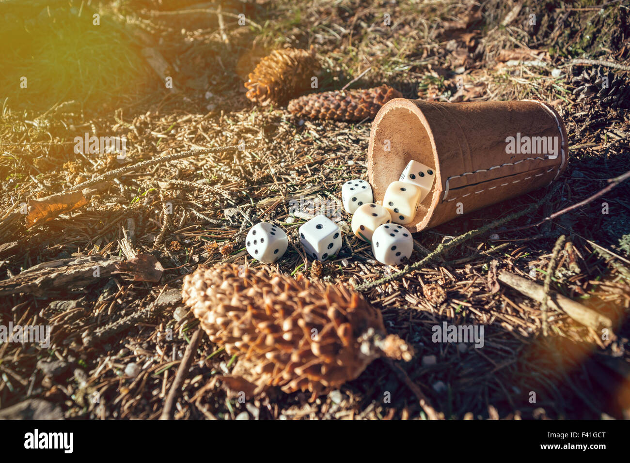 Shaker forest hi-res stock photography and images - Alamy