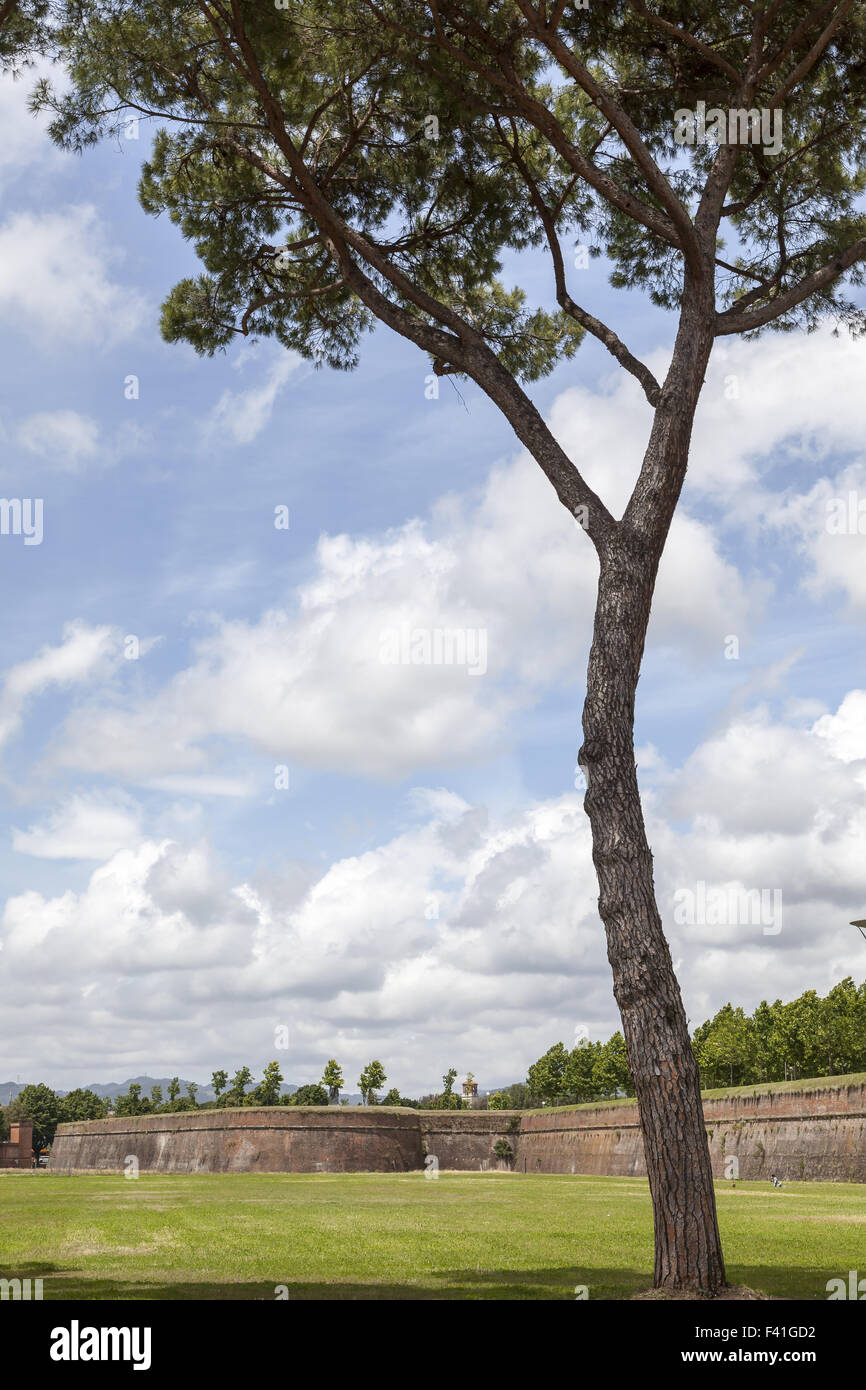 Lucca town hi-res stock photography and images - Alamy