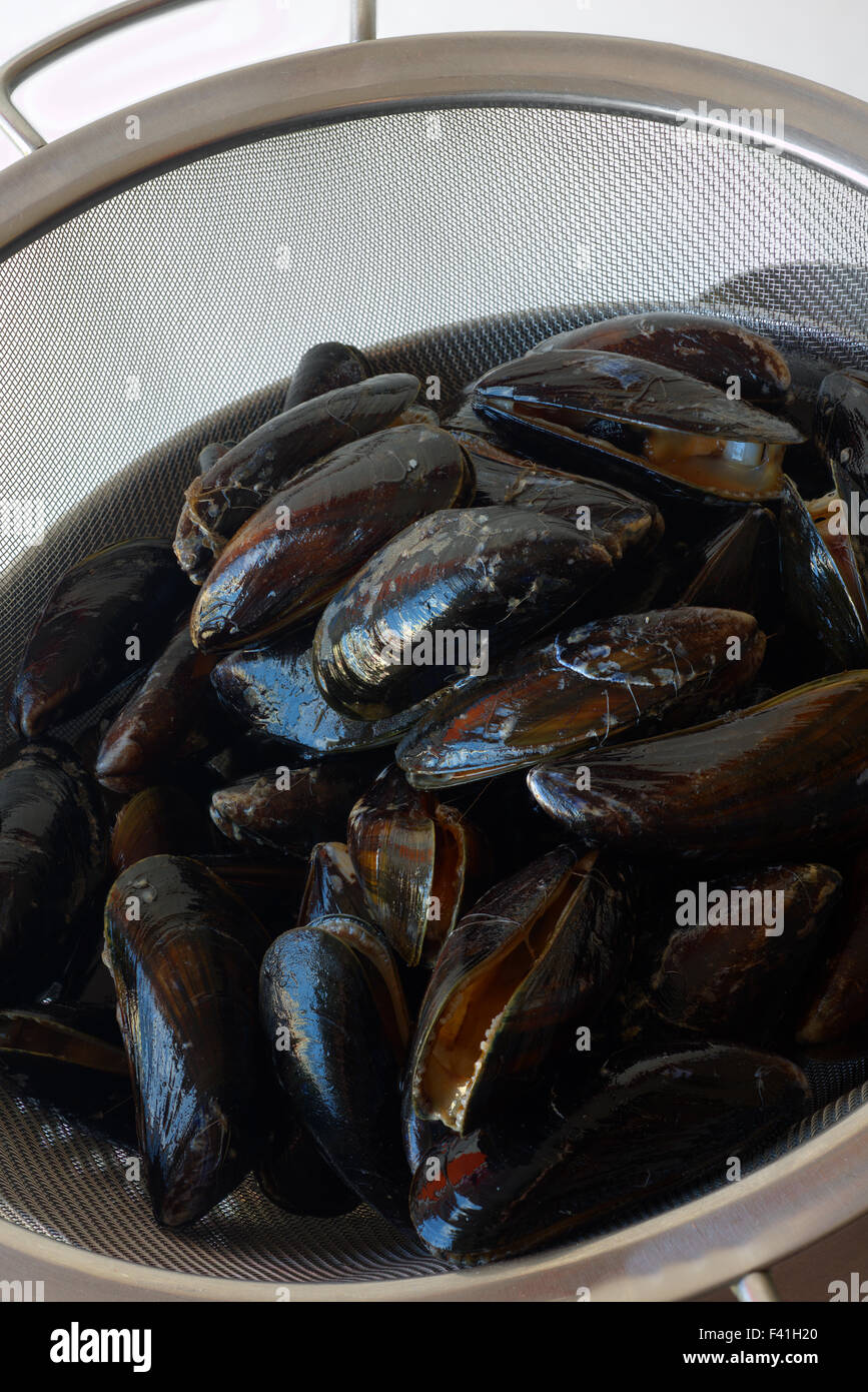Sea Mussels in a Sieve Stock Photo - Alamy