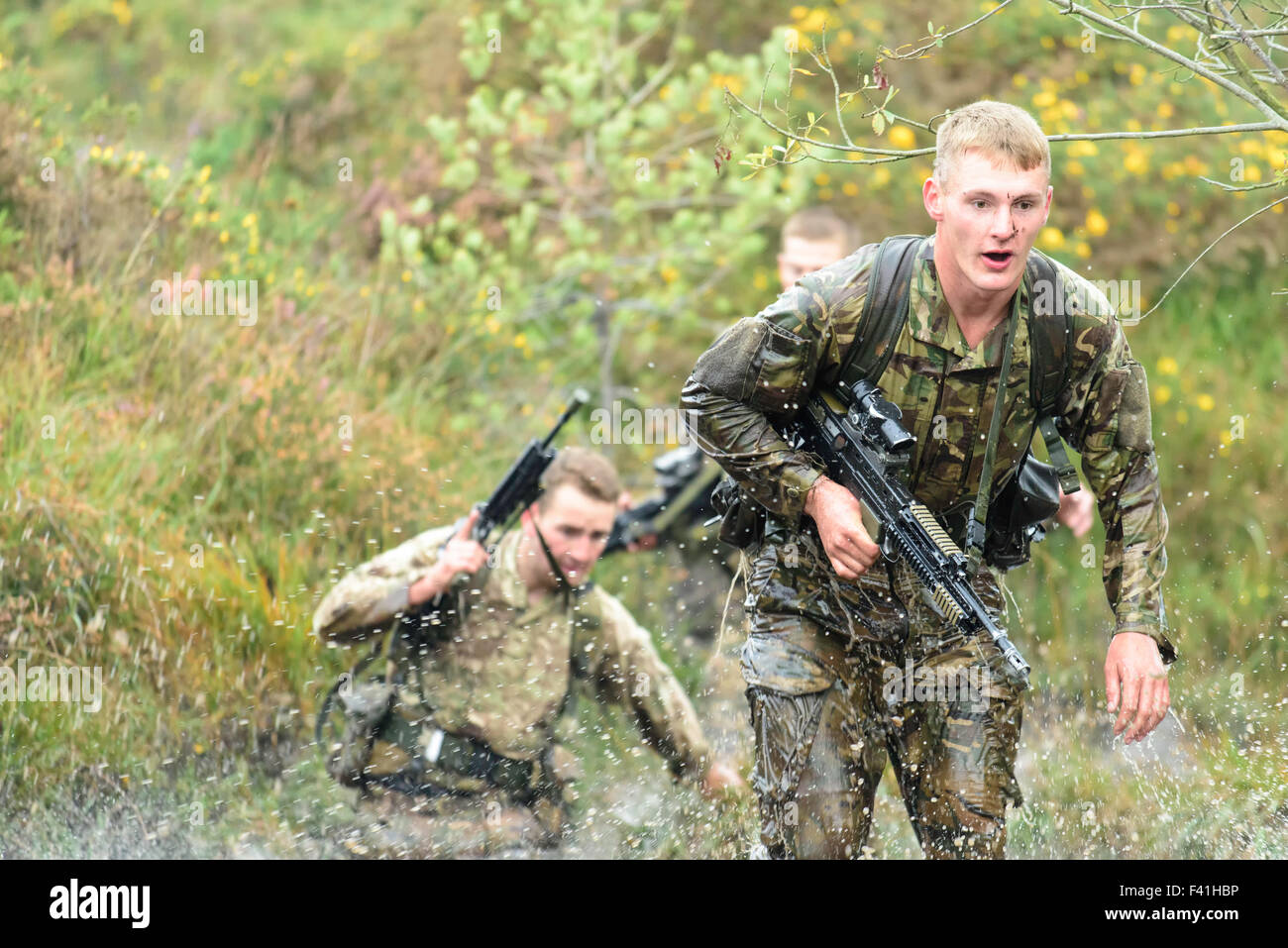 Lympstone common hi-res stock photography and images - Alamy