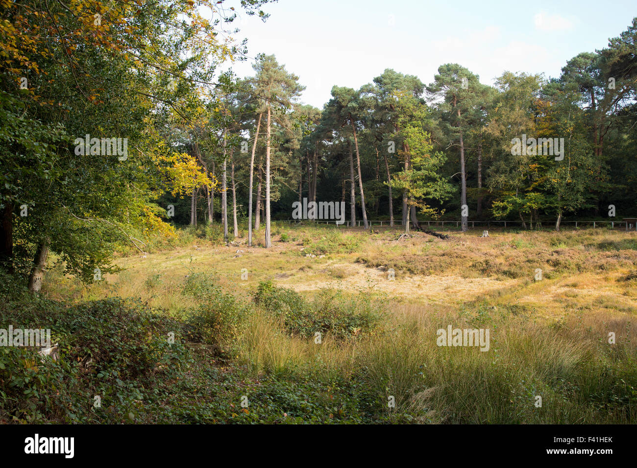 Keston village hi-res stock photography and images - Alamy