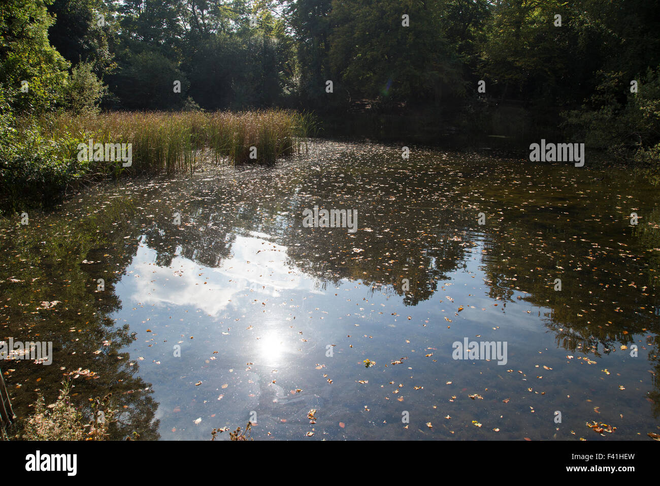 Keston village hi-res stock photography and images - Alamy