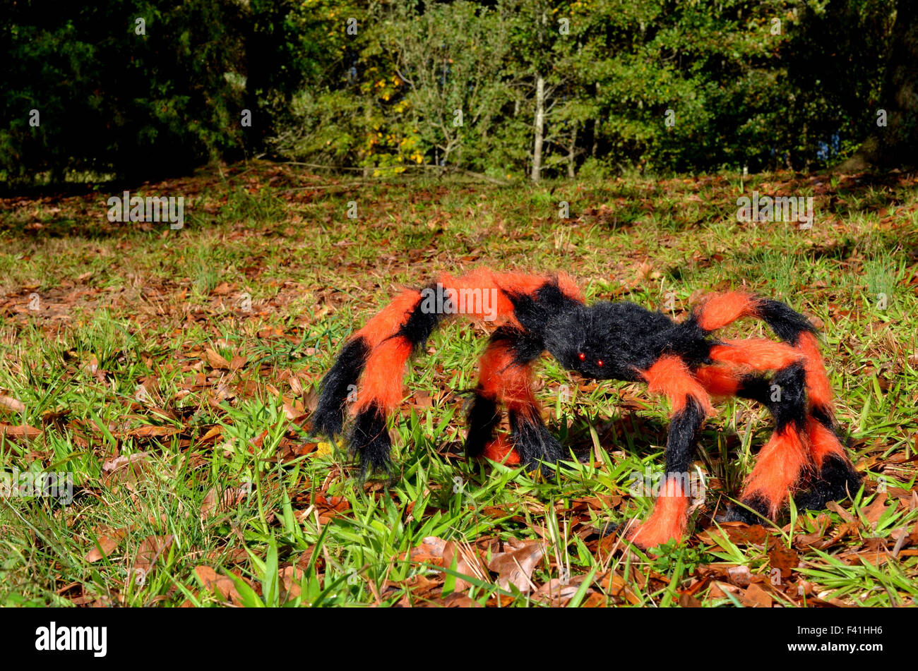 Orange and black decorative Halloween spider Stock Photo - Alamy