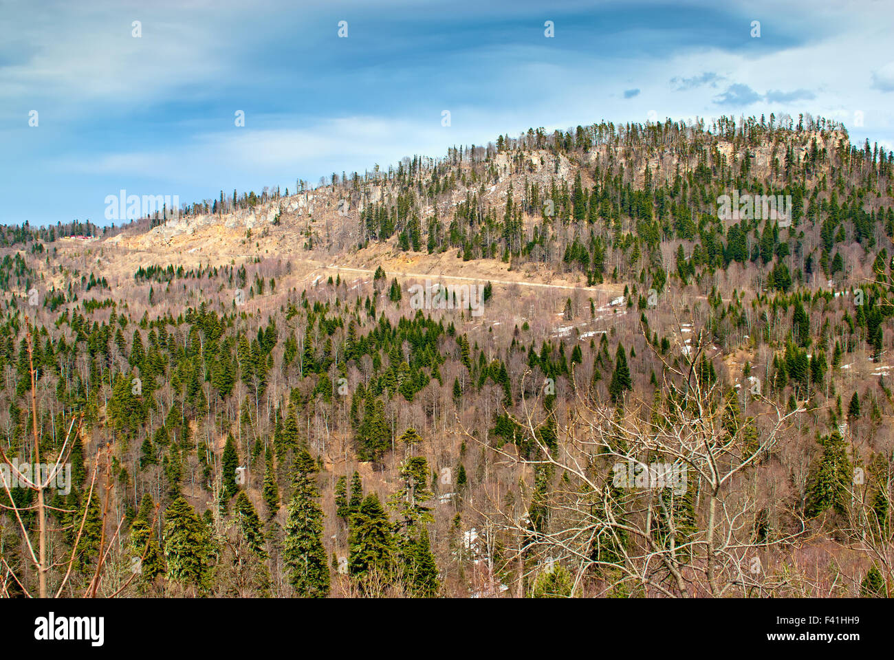 Hills and forest at early spring Stock Photo - Alamy