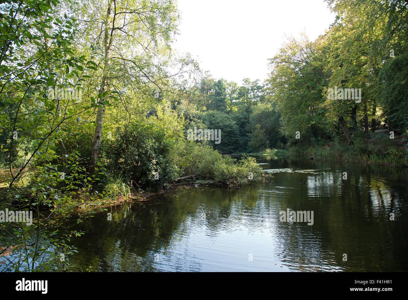 Autmnal scene at Keston Pondsl in the village of Keston in Bromley Kent ...
