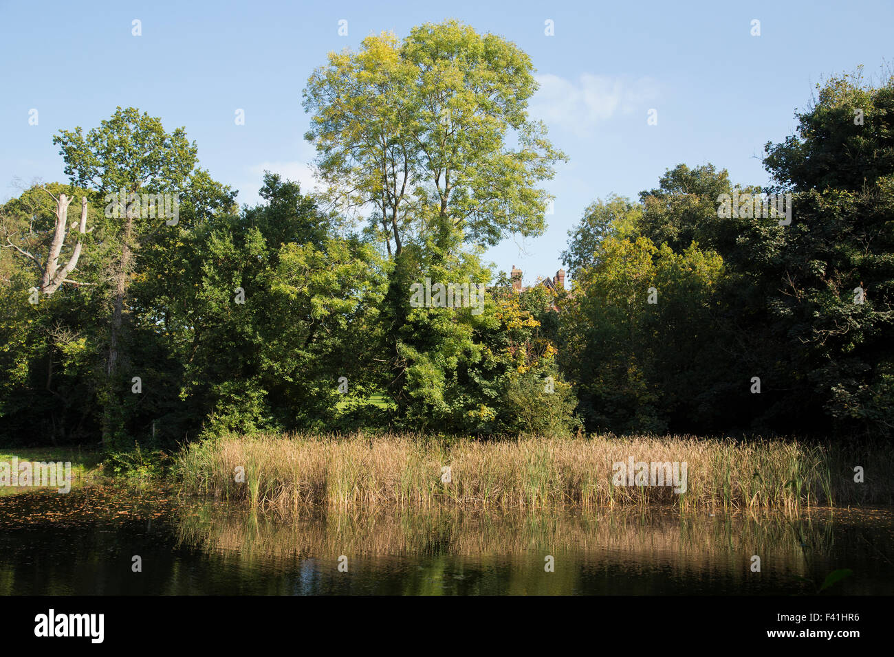 Keston village hi-res stock photography and images - Alamy