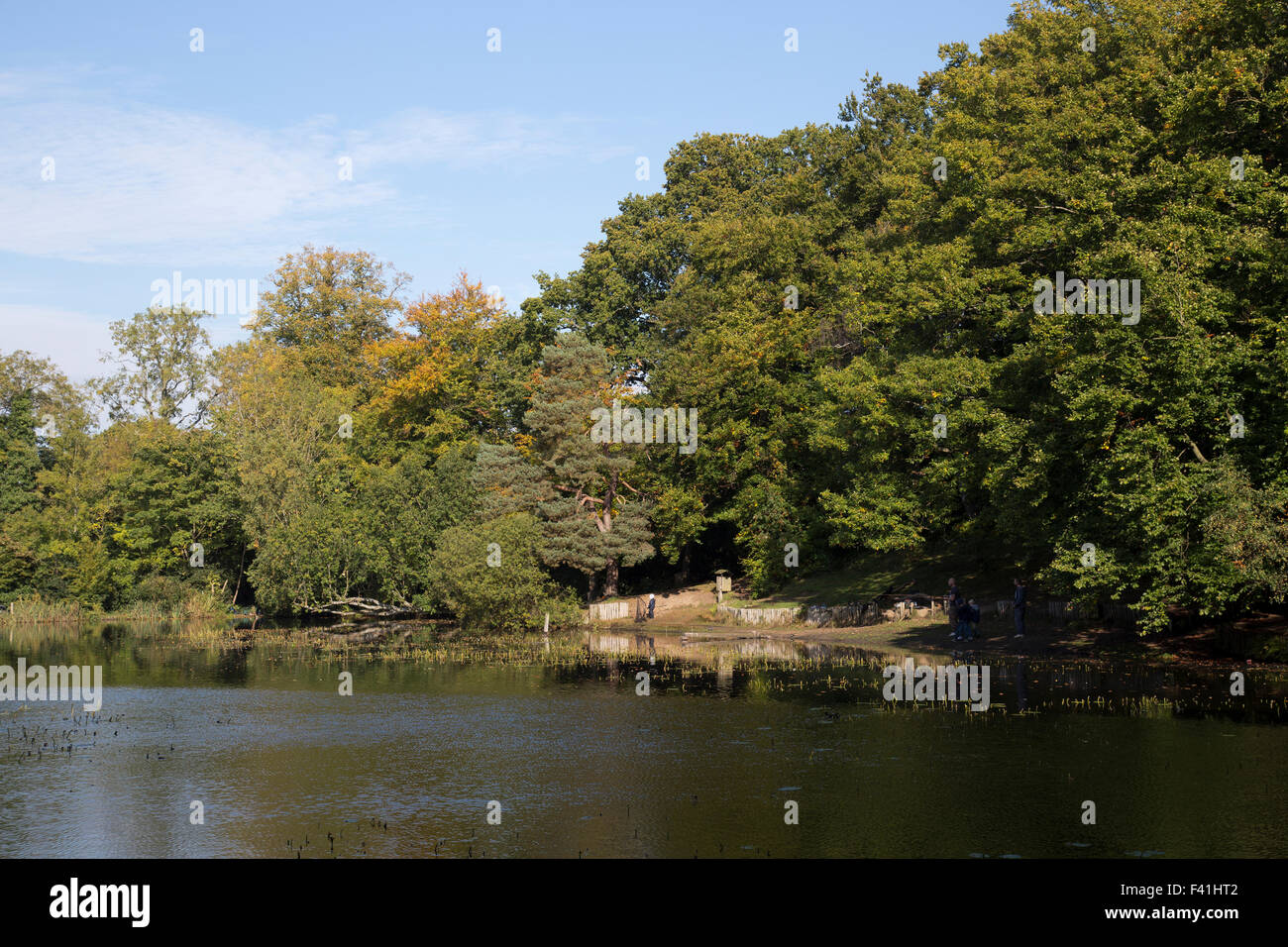 Keston ponds, bromley kent hi-res stock photography and images - Alamy