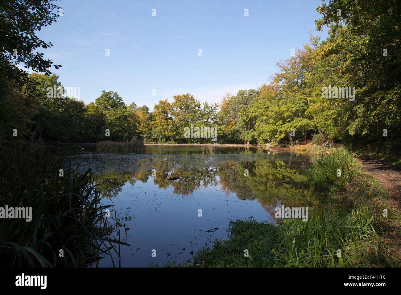 Keston ponds hi-res stock photography and images - Alamy