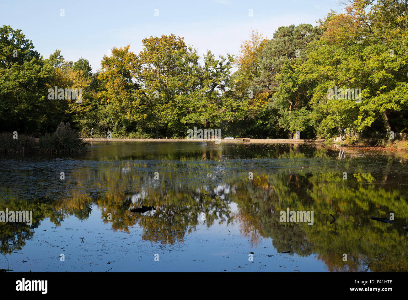 Keston ponds hi-res stock photography and images - Alamy