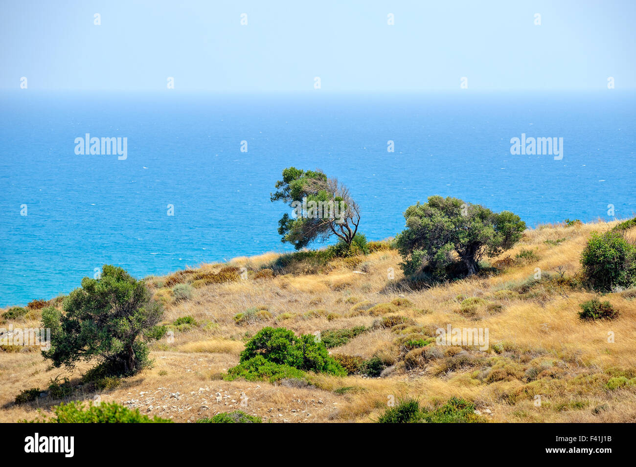 Typical cyprus nature landscape Stock Photo - Alamy