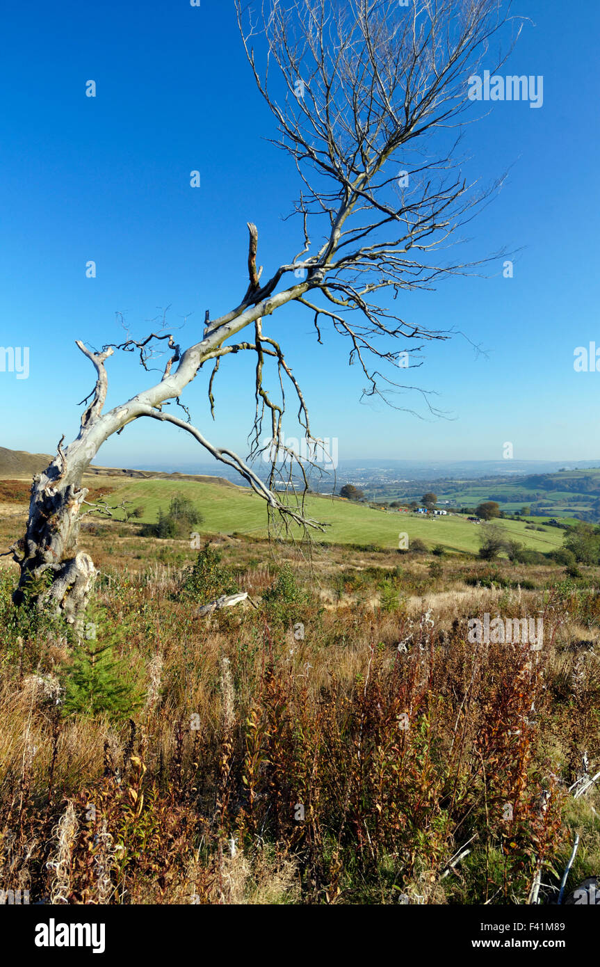 Llanbradach Stock Photos & Llanbradach Stock Images - Alamy