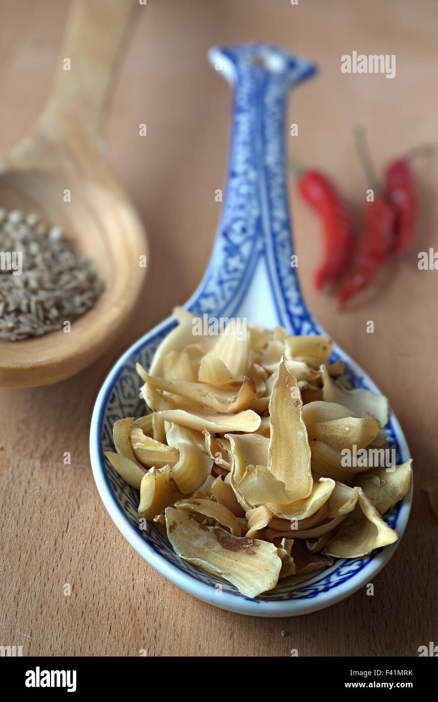 Chinese bulbs hi-res stock photography and images - Alamy