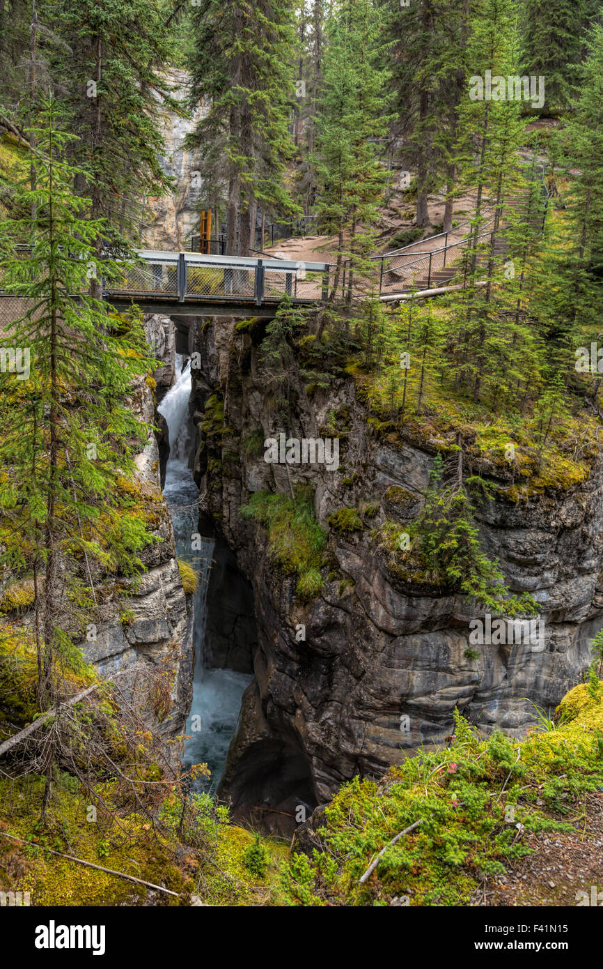 View into Maligne Canyon and on the Fourth Bridge, Jasper National Park ...
