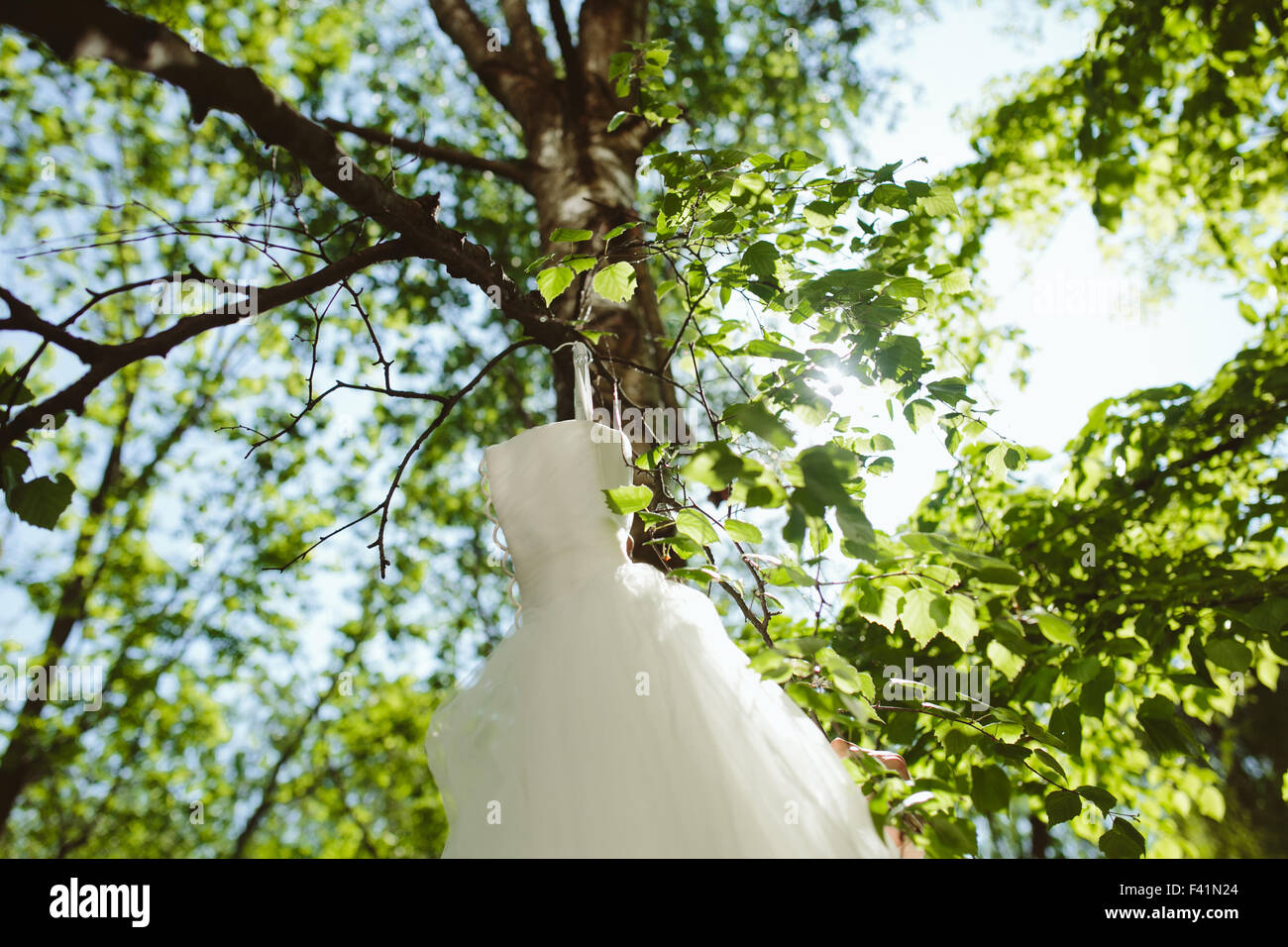 Wedding dress hanging on a tree in the park Stock Photo - Alamy